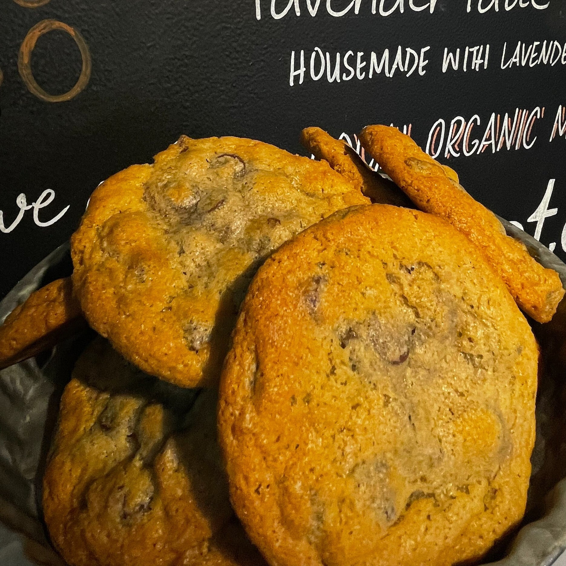 One Day Old Cookies | Haute Coffee